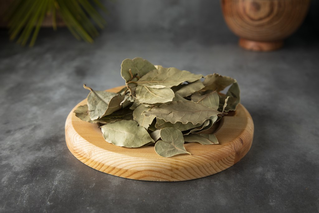 ورق غار – الصفصاف